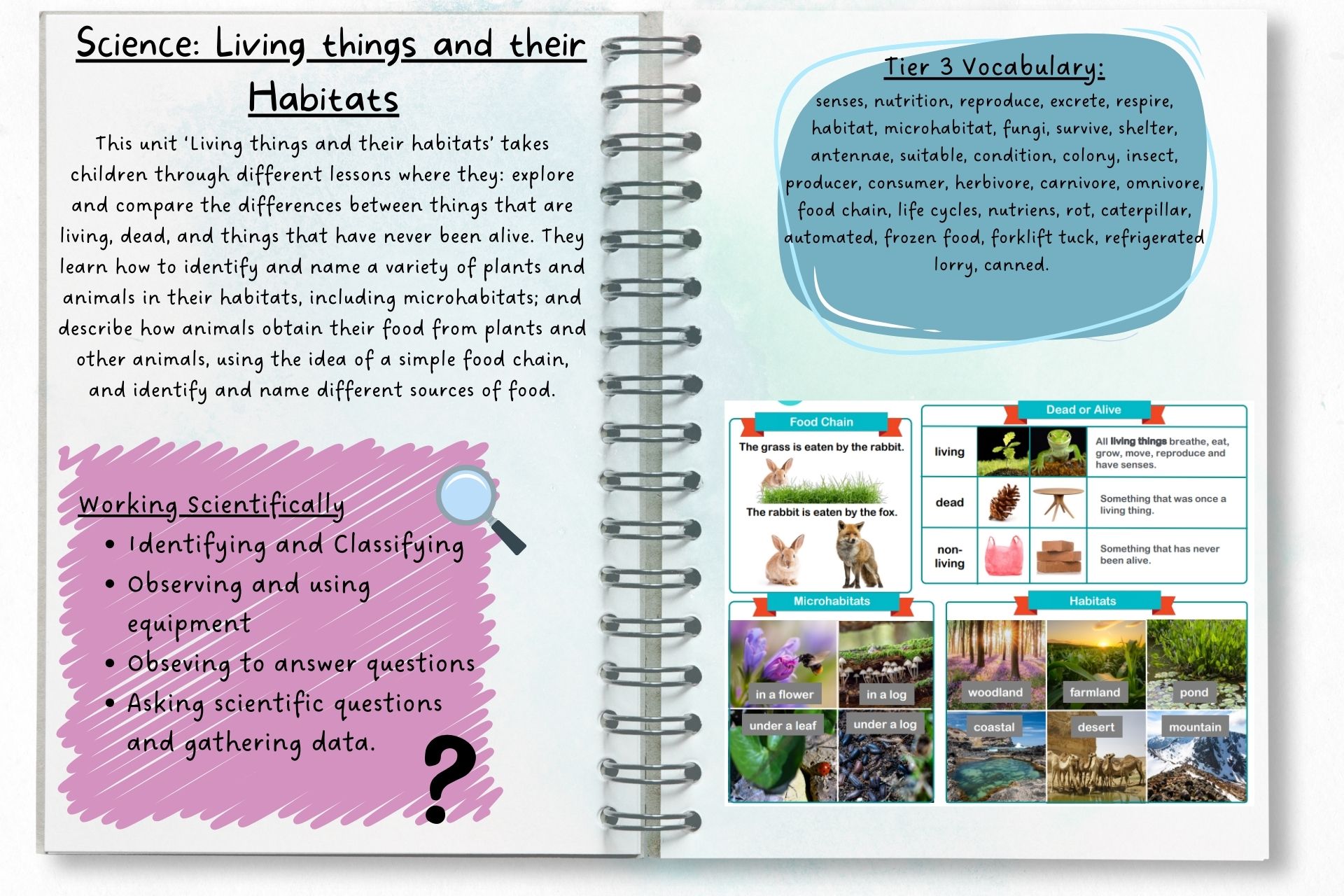 Norton Hill Primary School | Our Classes